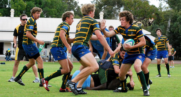 Networks and Ambassadors