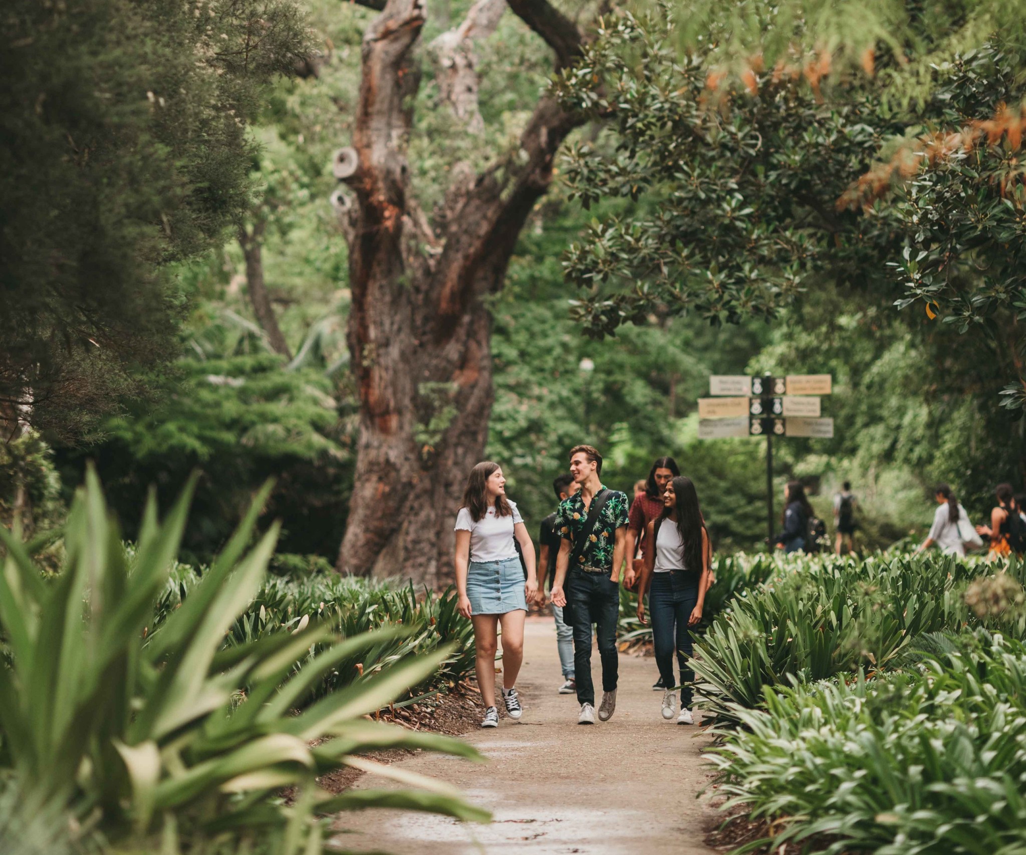 Friends of the Grounds